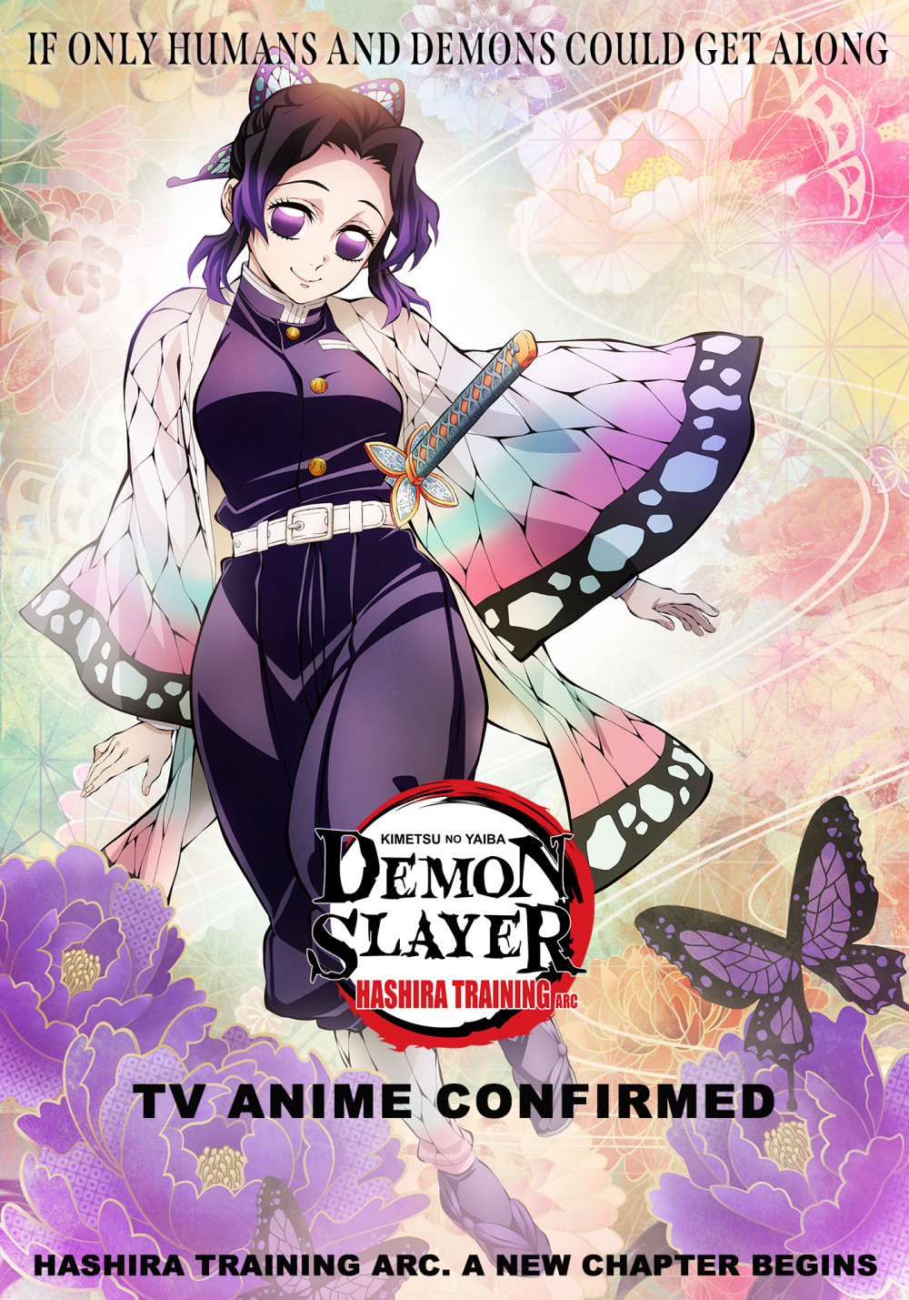 Demon Slayer's Hashira Training Arc: Global Unveiling and Special ...